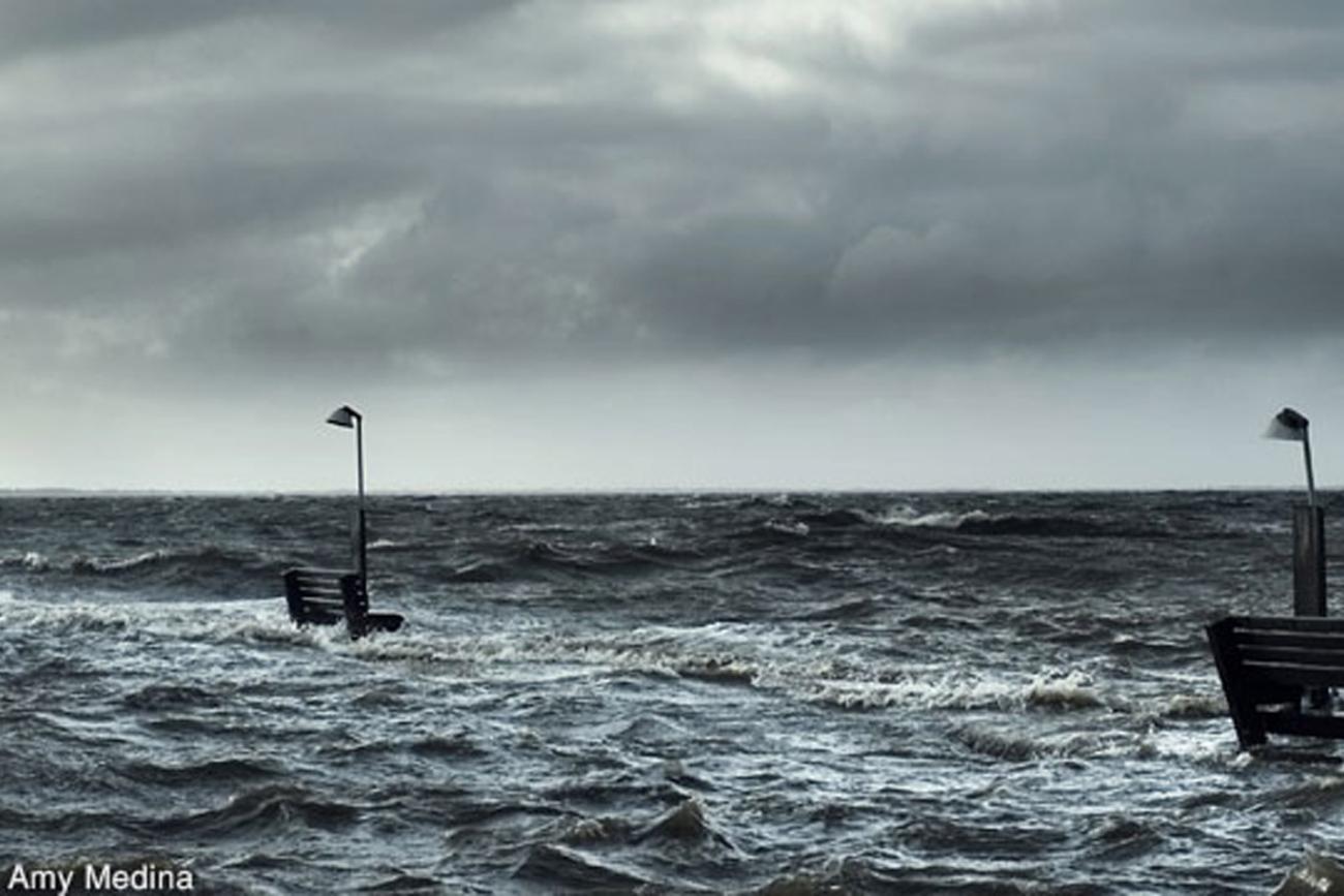Rising Waters | Museum of the City of New York