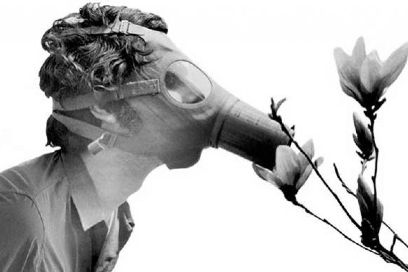 Environmentalism | Museum of the City of New York