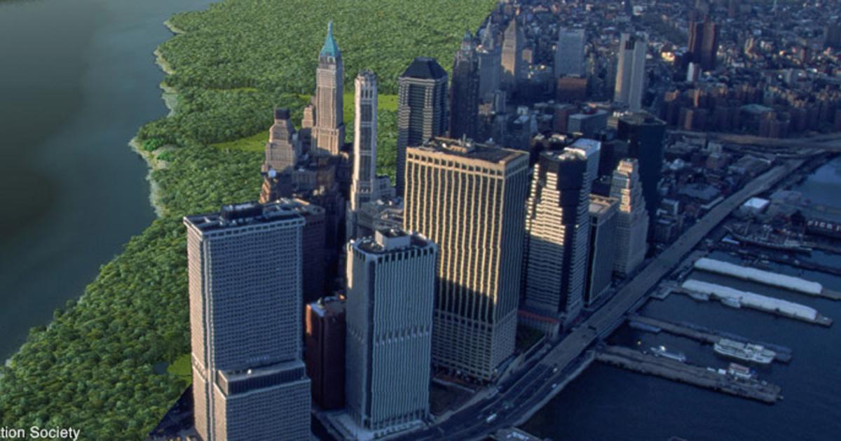 Mannahatta/Manhattan | Museum of the City of New York