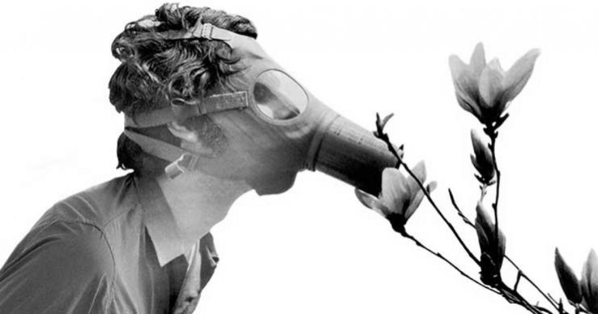 Environmentalism | Museum of the City of New York