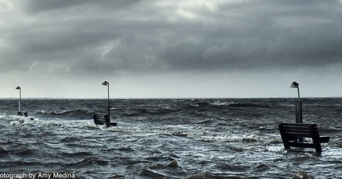 Rising Waters | Museum of the City of New York